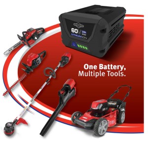 Briggs And Stratton Snapper 60V Brushless Cordless OPE - Tool Craze